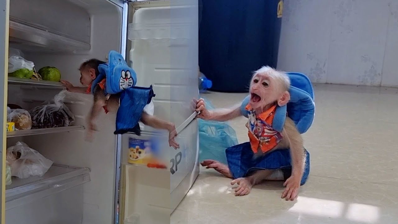 BeeBoy Screaming Angry Fridge & Command to Open Like Crazy - YouTube