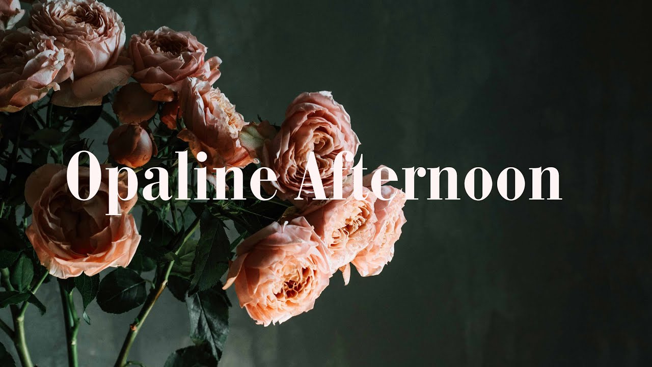 🎹📖 Elegant Piano Ambience for Deep Focus | Calming Music for Journaling ...