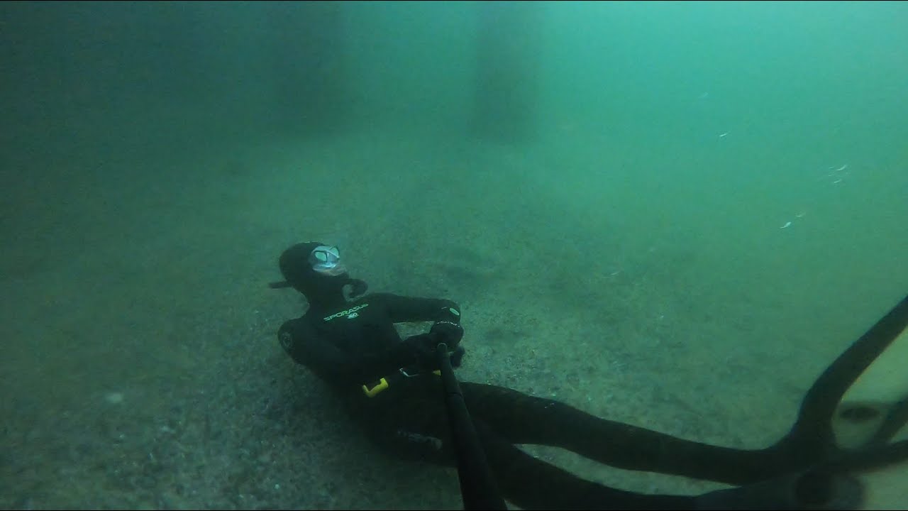 Pier diving in the PNW - YouTube