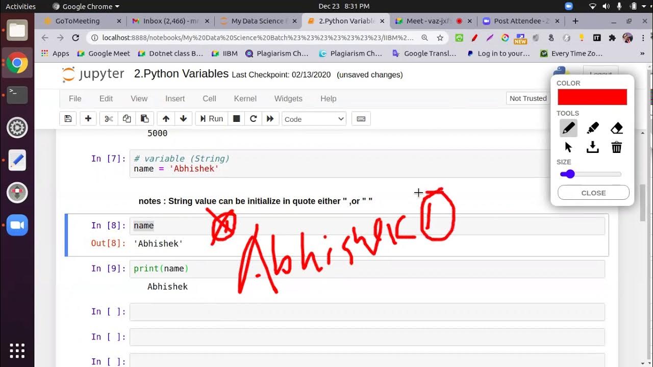 IIBM Institute- Python_Variable_Literals - YouTube