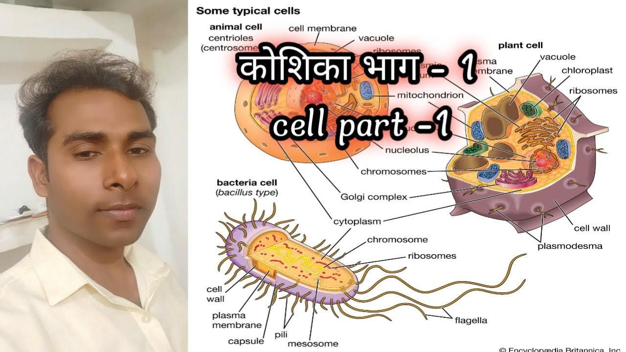 Cell - कोशिका || Cell for all competitive exams // cell for biology ...
