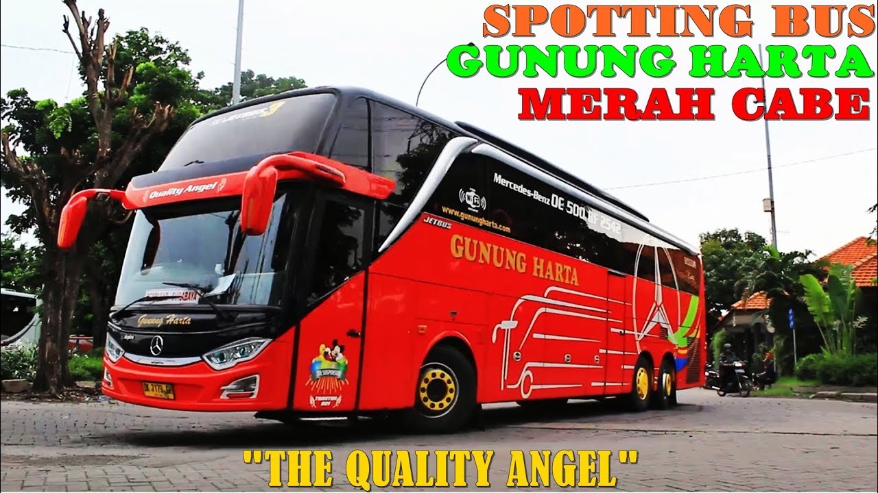 Spotting Bus Gunung Harta Tronton Merah | The Quality Angel - YouTube