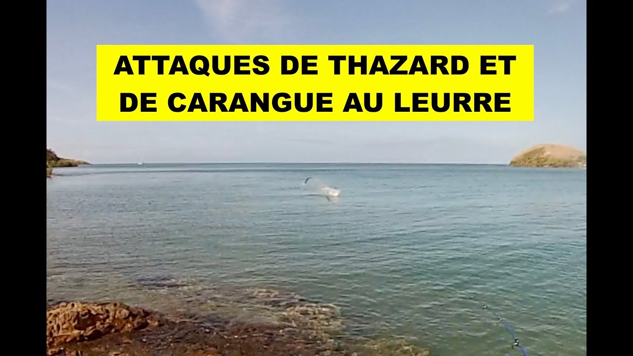ATTAQUES DE THAZARD ET DE CARANGUE - YouTube