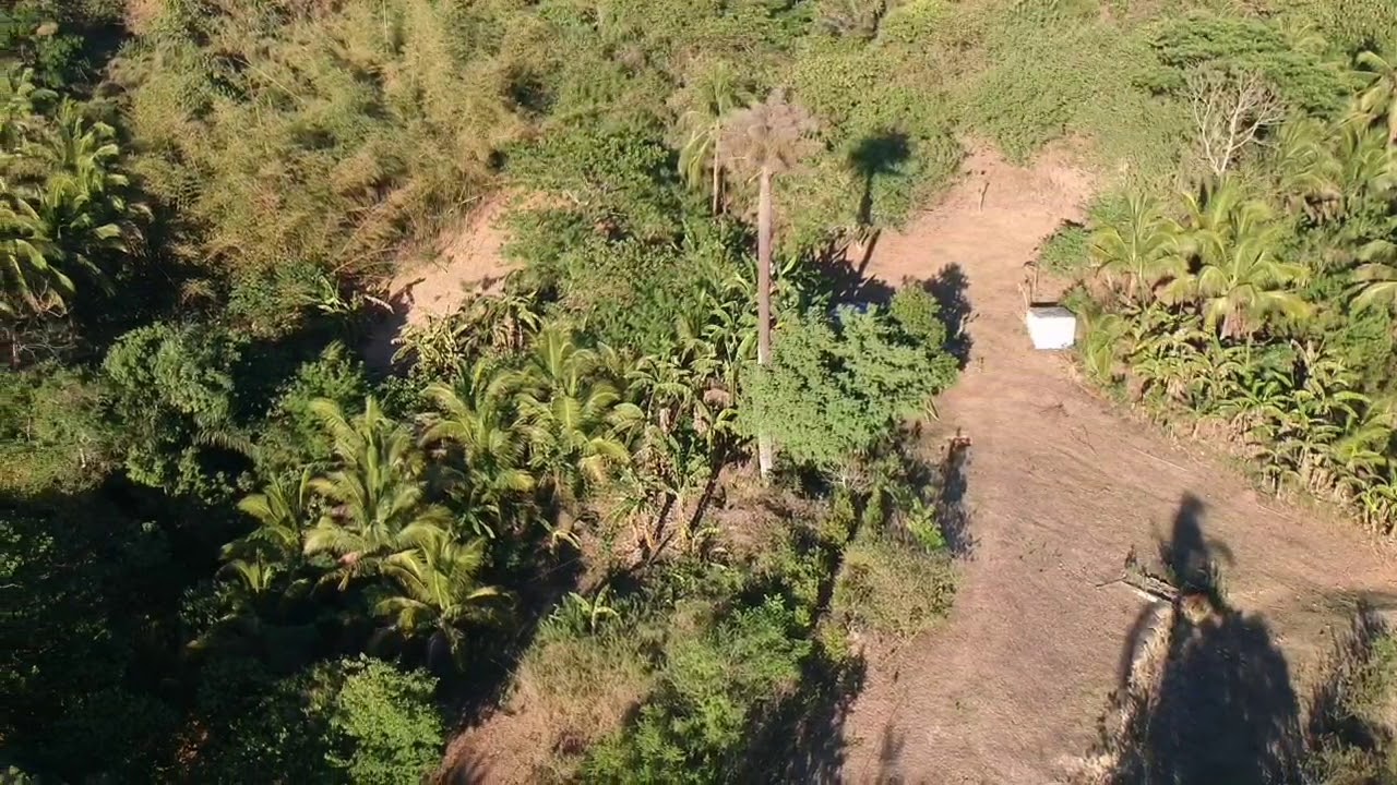 4.8 Hectares Farm Land for sale Aerial shot - YouTube