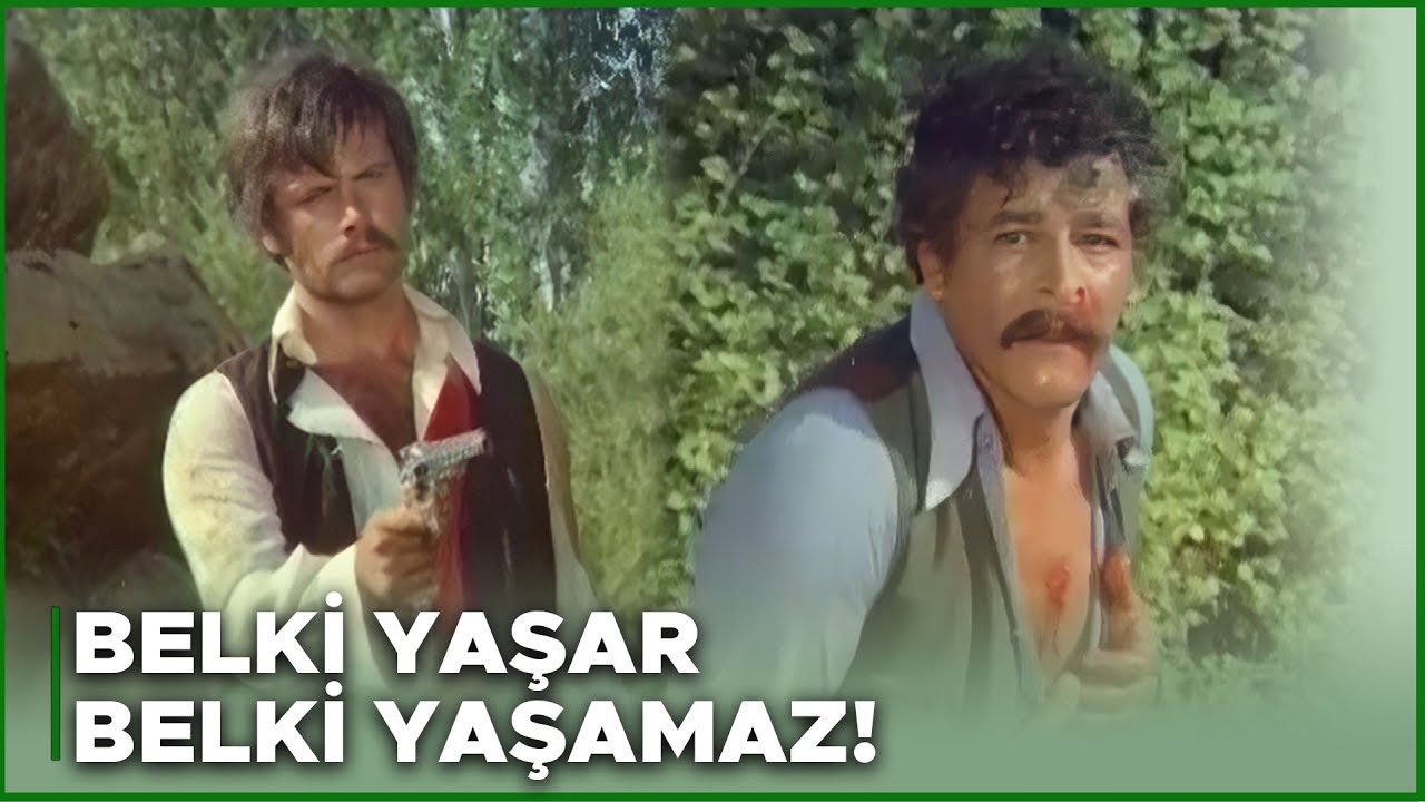 Harman Sonu | Ali, Her Şeyini Cafer Yüzünden Kaybediyor - YouTube