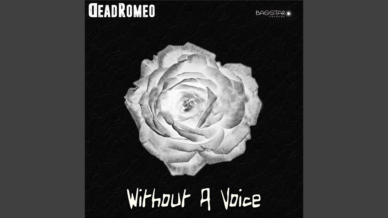 Without A Voice - YouTube
