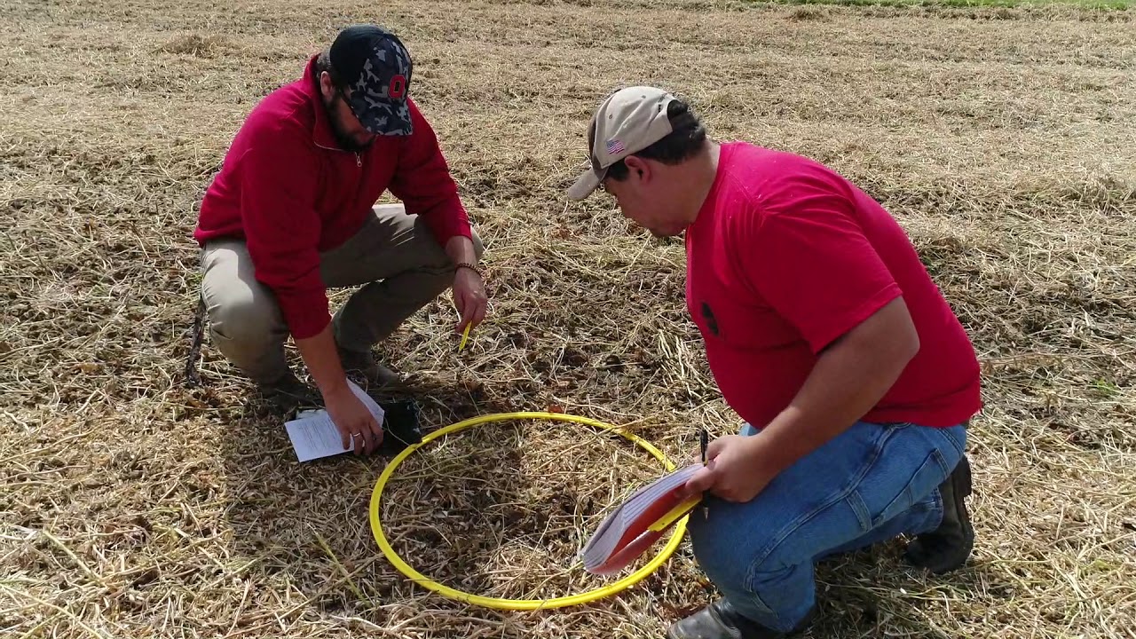 HCS 3100 – Introduction to Agronomy: Harvest Lab (with audio) - YouTube