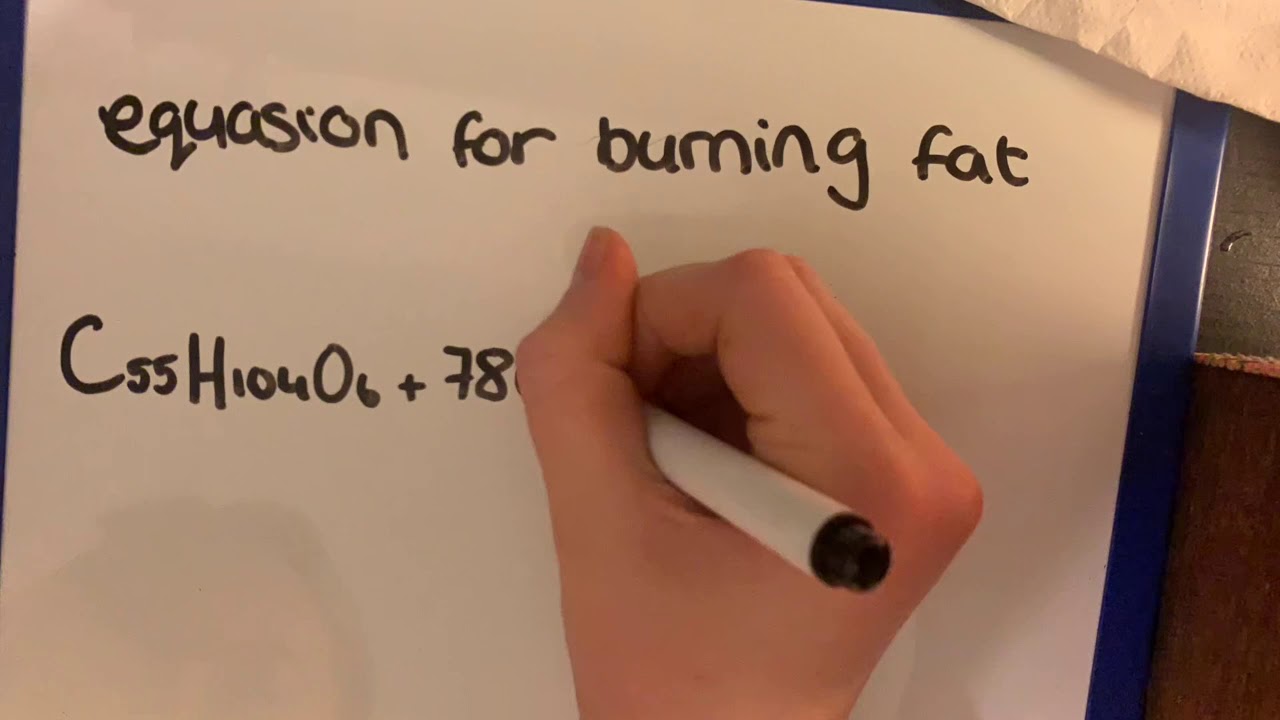 Where Does Your Fat Go? - YouTube