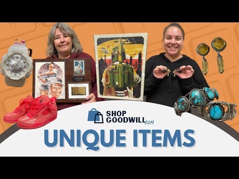 Unique Thrifted Finds on ShopGoodwill.com | APRIL 2022