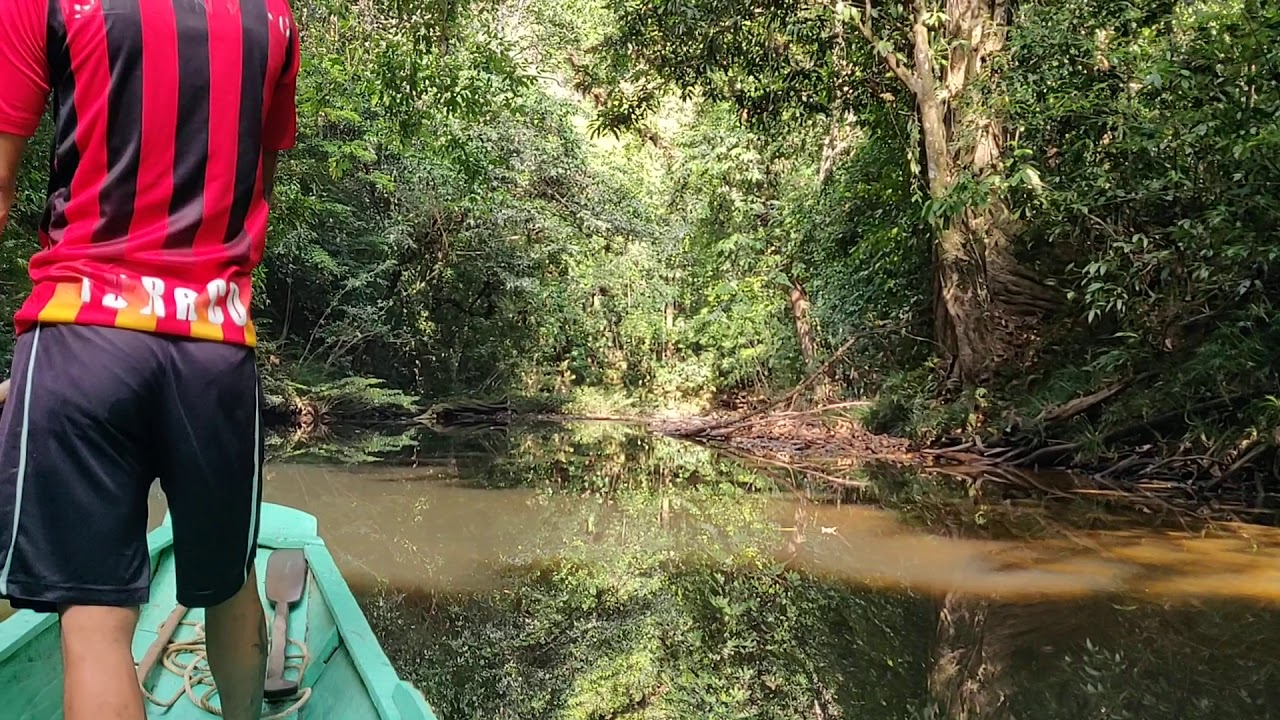 Longboat Batang Ai, Sarawak Borneo - YouTube