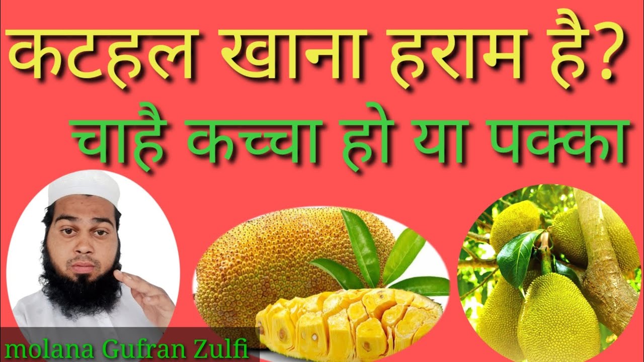 kathal khana Halal Ya haram?#jack fruit khana kaesa? कटहल #molana ...