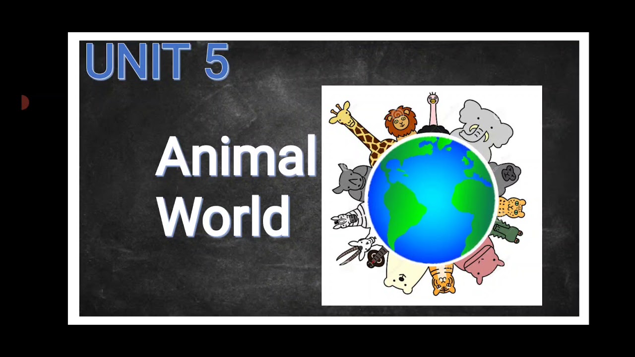 Animal World #2 - YouTube