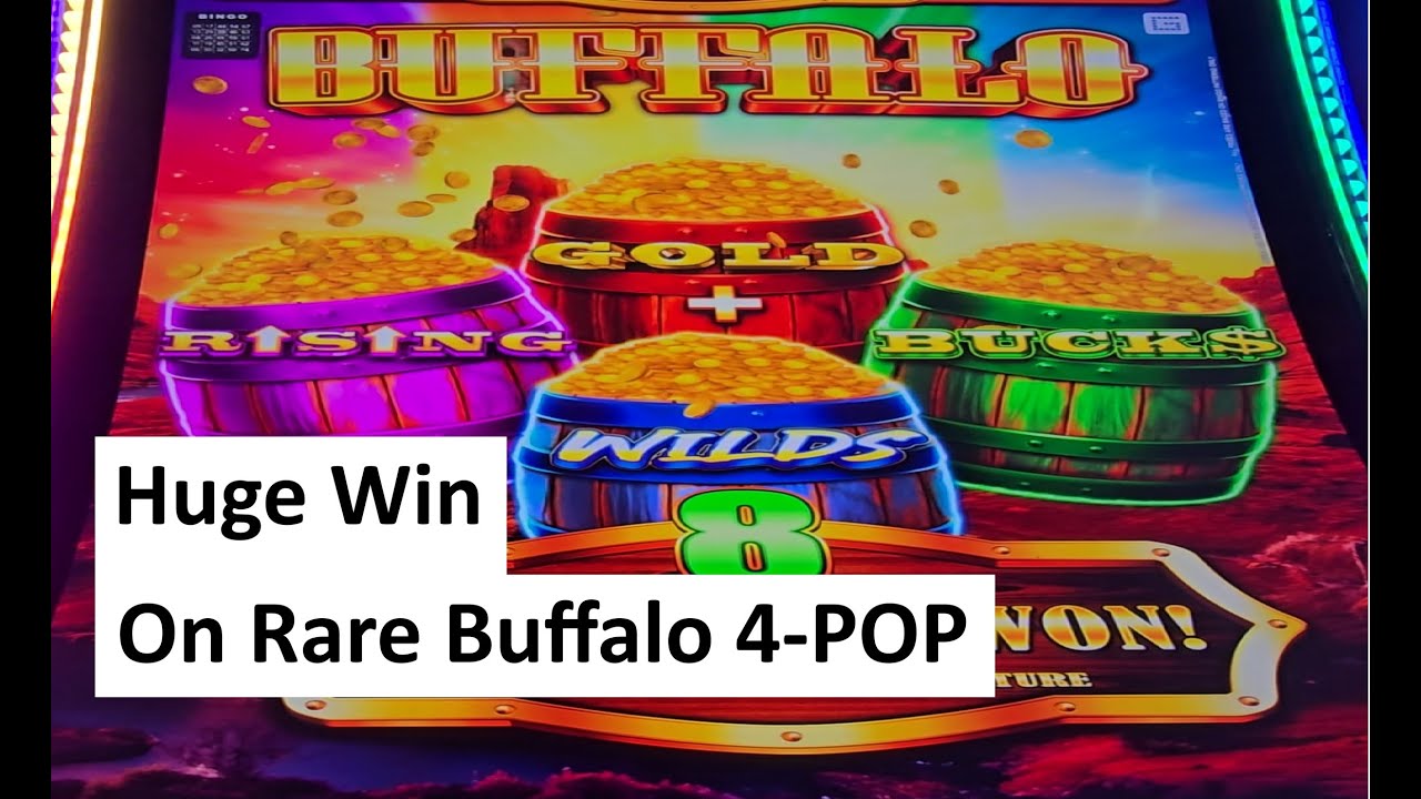 Huge Win on Buffalo Quad Power Slot!! Aristocrat Game - YouTube