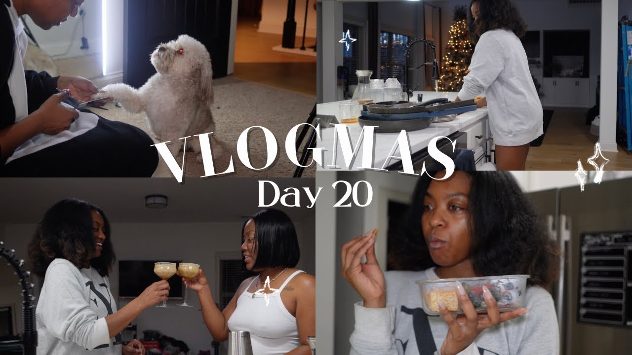 VLOGMAS Day 20 | cocktail making girls night + grooming Skye at home ...