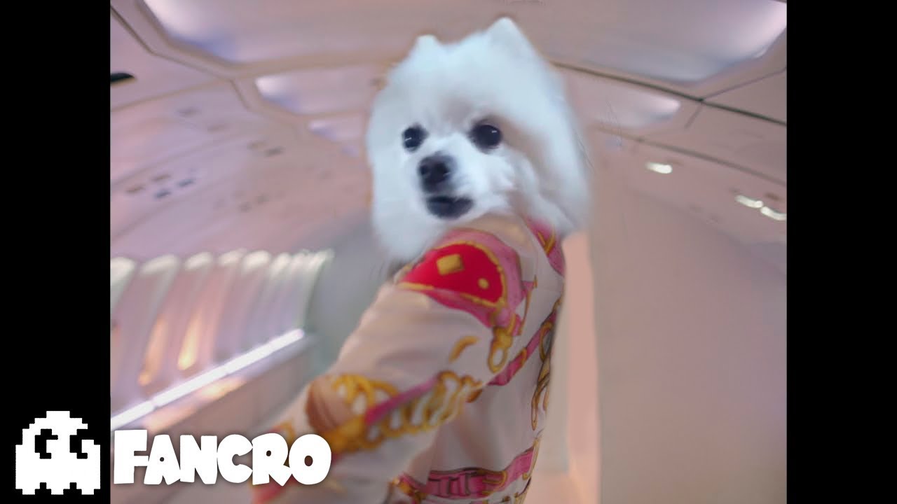 ROSALÍA, J Balvin - Con Altura (Cover Perros) - YouTube