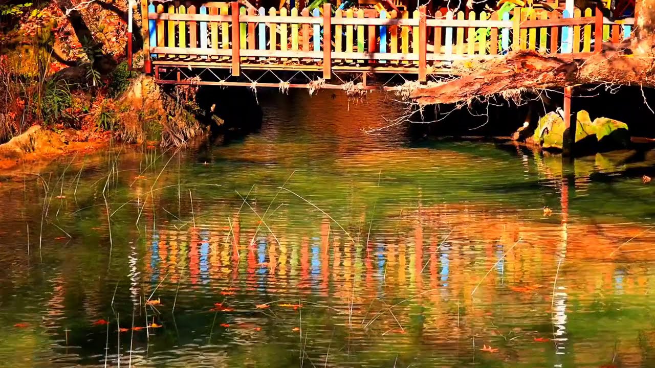 Calming Silent River and Bridge. Relaxing Nature Sounds. (10 hours ...