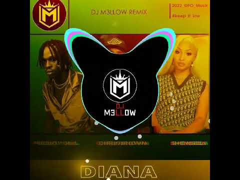 DIANA_-_Fireboy_Chris Brown_Shanseea (DJ M3LLOW REMIX) 2022