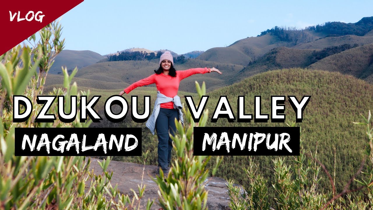 Dzukou Valley Nagaland Manipur I Dzukou Valley Trekking I North East ...