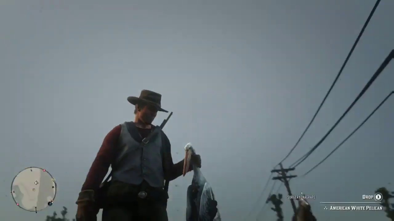 Killing and Skinning Modest Pelican Gaming in Red Dead Redemption 2 ...