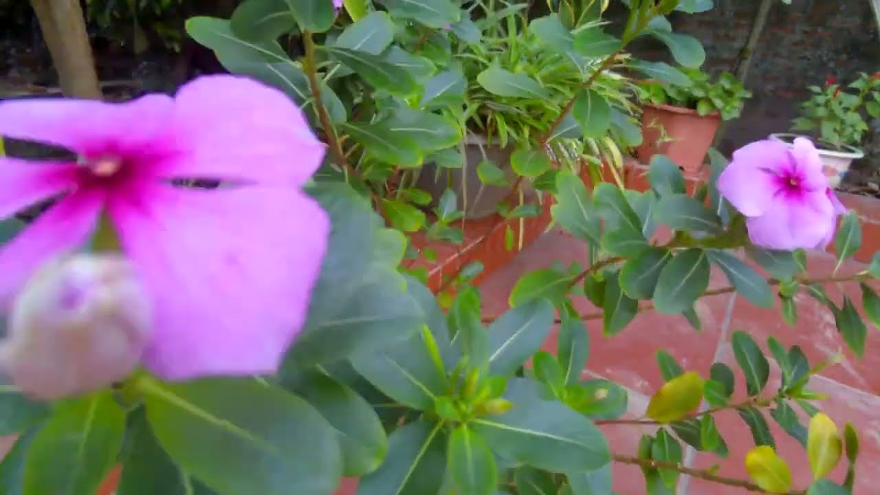 (Tập 21) Côn Lôn Vô Địch Phàm Nhân - Trảm Tiên | Truyện Tiên Hiệp ...