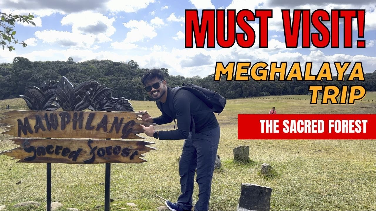 Mawphlang Sacred Forest - Meghalaya | Explore Mawphlang | Khasi Culture ...