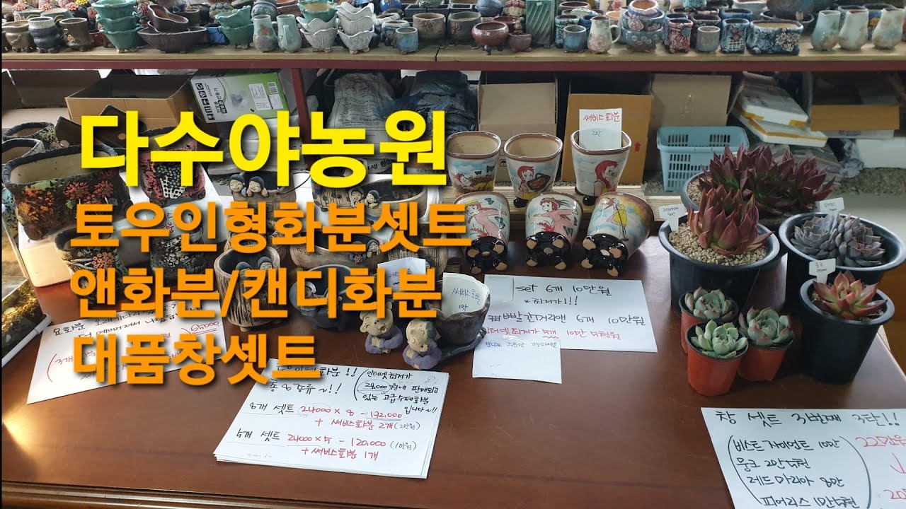 토우인형화분앤화분캔디화분셋트창셋트 특가 토우수제화분 앤화분 창셋트 캔디화분 자이언트비스트 뭉크 레드마리아