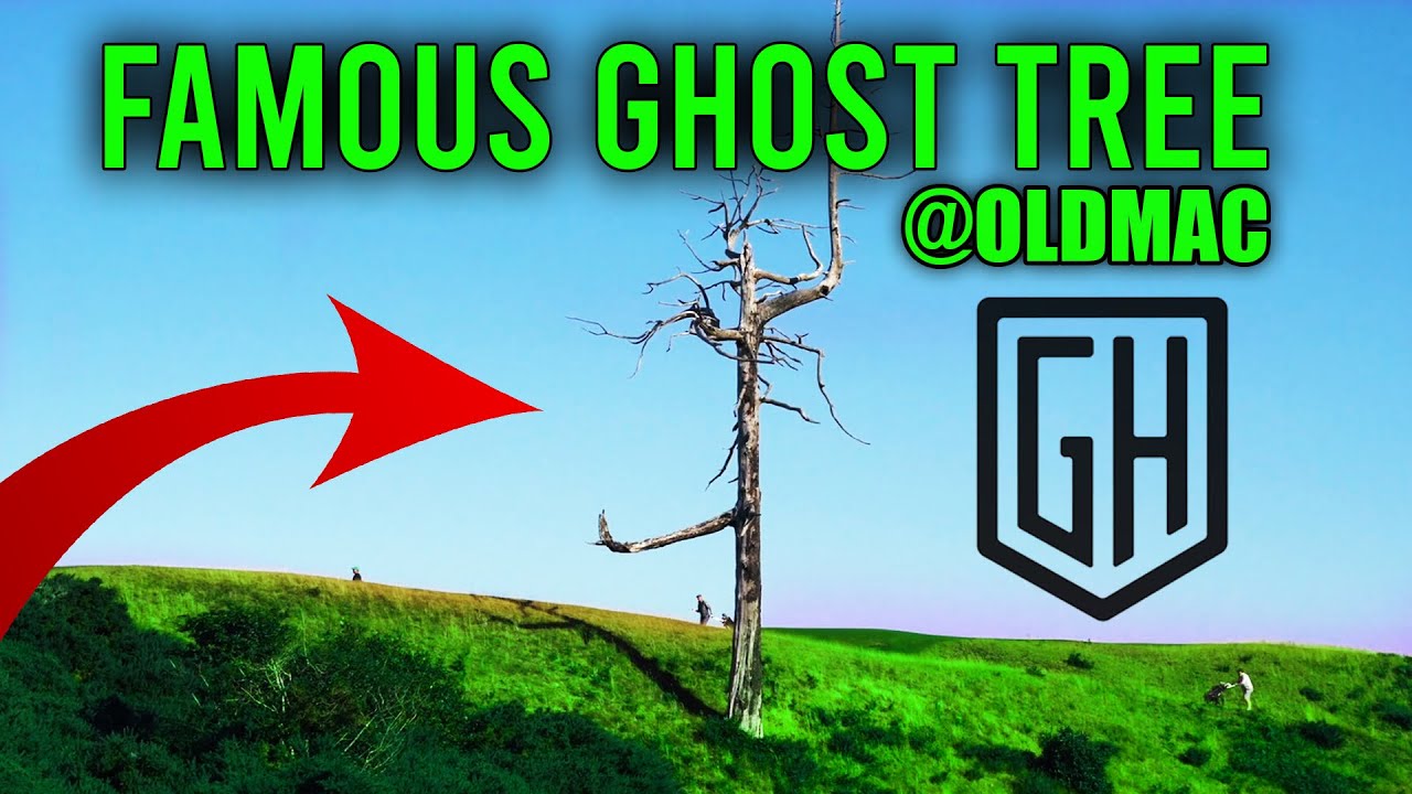THE COOLEST TREE IN GOLF @ OLD MACDONALD - YouTube