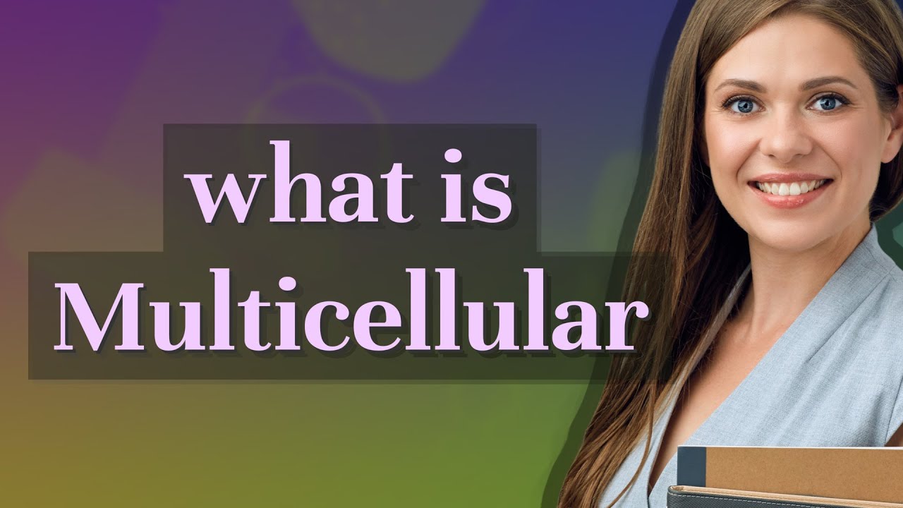Multicellular | meaning of Multicellular - YouTube