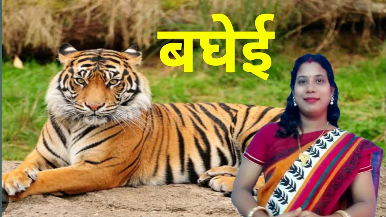 बघेई (गोपीनाथ महंती) BY SIMPAL SHARMA - YouTube