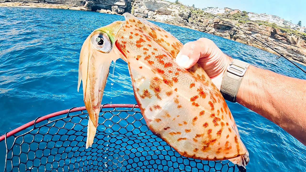 We Caught The Big Ones! Giant Squid CATCH And COOK - YouTube
