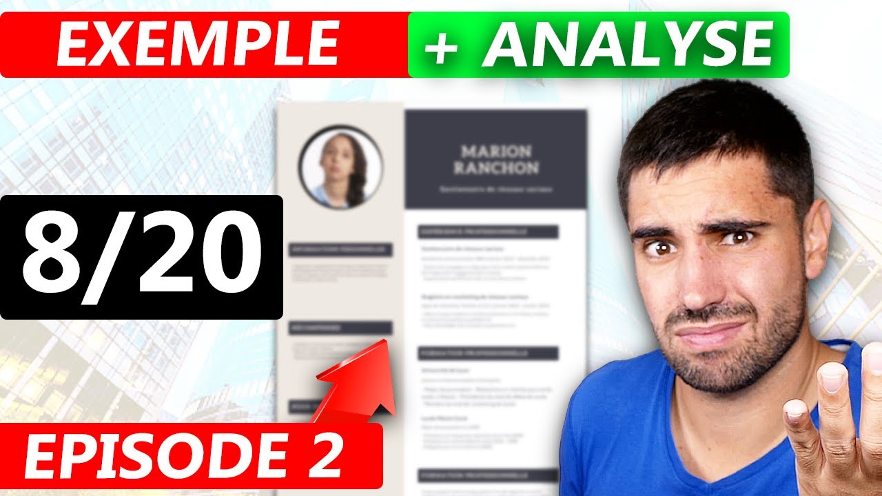 EXEMPLE DE CV, ANALYSE ET CONSEILS POUR COMPRENDRE COMMENT FAIRE UN BON ...