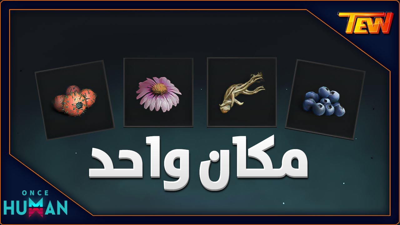 مكان تجميع بكل سهولة Spikemato / Coneflower / Bellflower / Blueberries ...