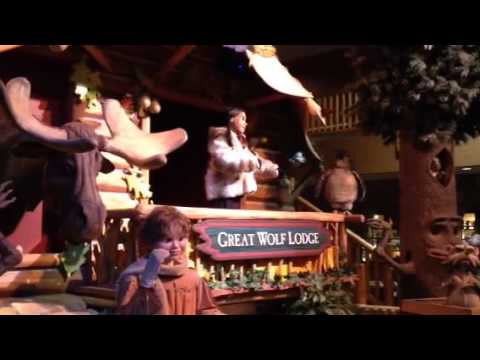 Great Wolf Lodge Night Lobby - YouTube