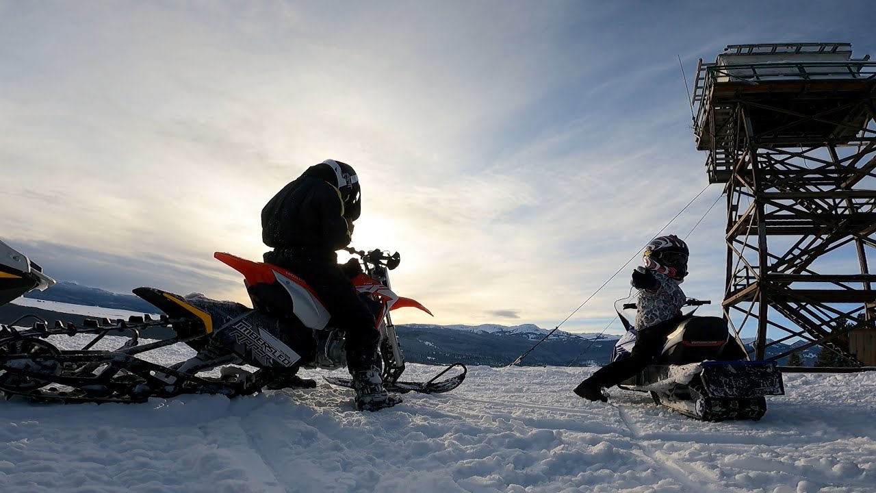 Timbersled Ripper Vs. SnoScoot in Montana Powder- Mini Snowbike action ...