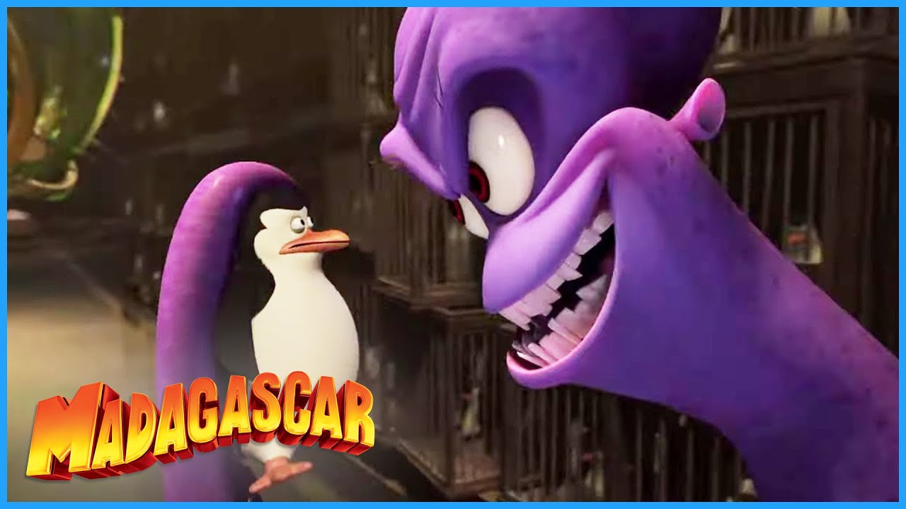 DreamWorks Madagascar | The Hunt is Over | Penguins of Madagascar Clip ...