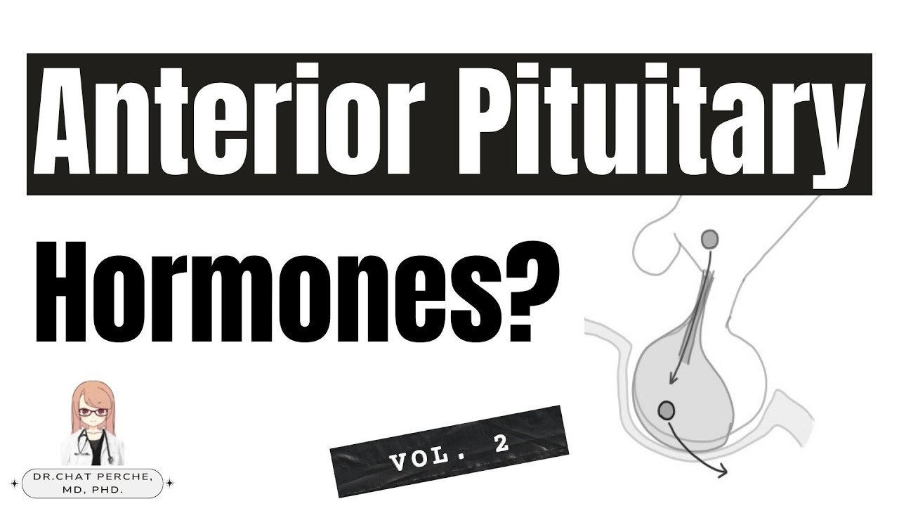 Anterior Pituitary Hormones: A Mnemonic Journey - YouTube