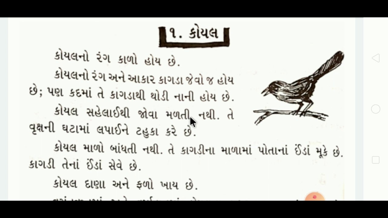 STD 3 GUJARATI WRITING PART ESSAY 'KOYAL' - YouTube