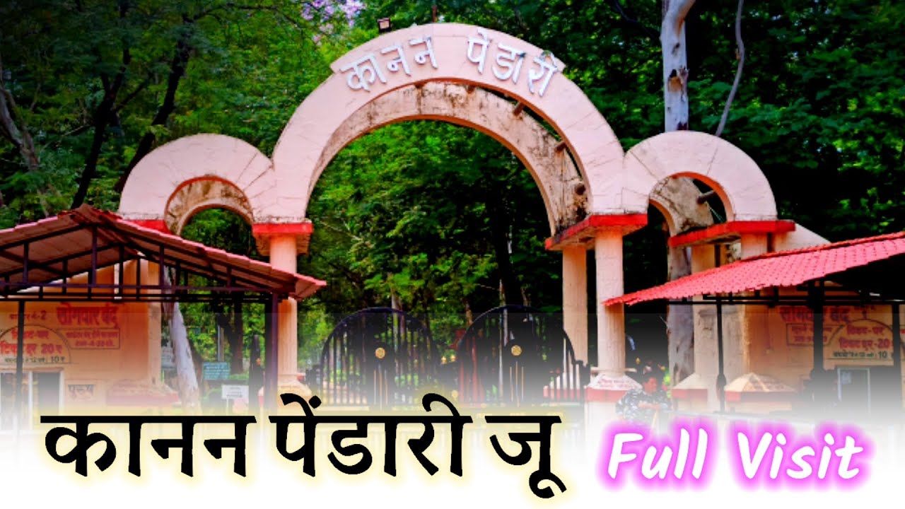 Kanan Pendari Zoo Bilaspur Chhattisgarh full visit 2022 | कानन पेंडारी ...