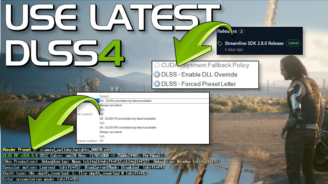 Stai usando il NUOVO DLSS? Attiva questo OVERLAY! | DLSS4 310.4.0 - YouTube