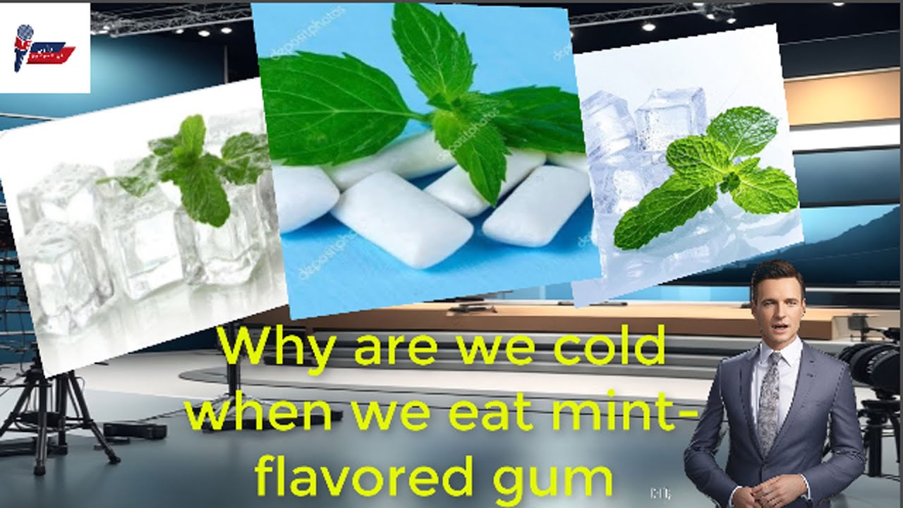 Why are we cold when we eat mint-flavored gum - YouTube