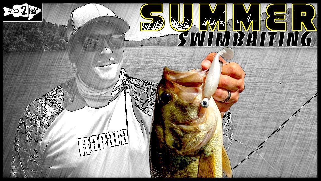 4 Tips for Paddle Tail Swimbait Fishing Summer Bass - YouTube