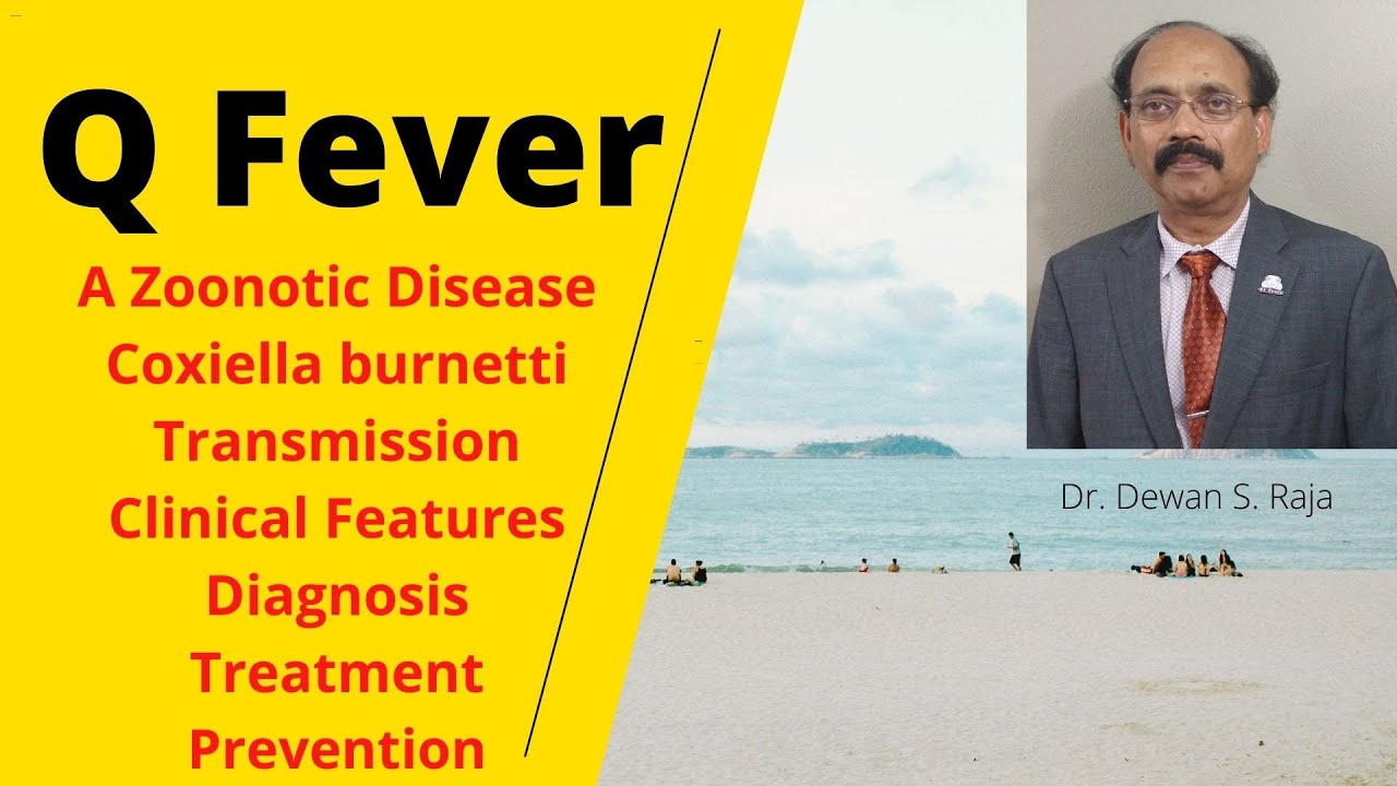 Q Fever - YouTube