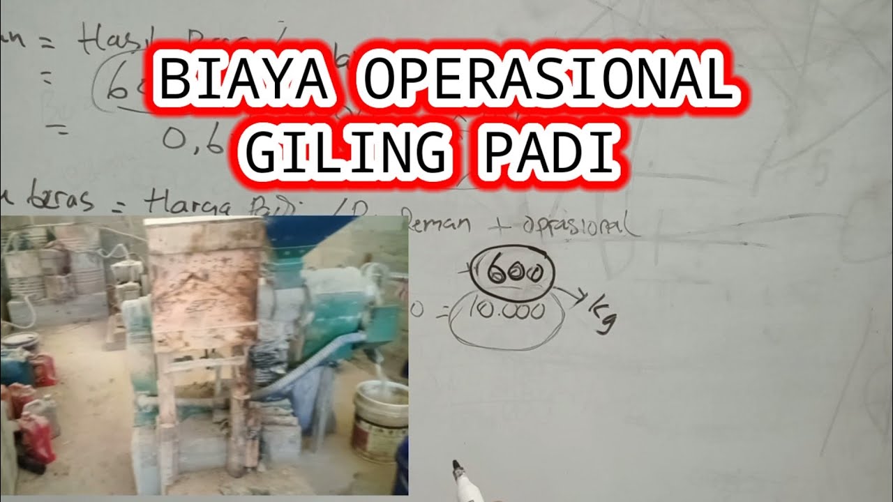 Biaya Operasional Giling Padi Meliputi Apa Saja? - YouTube