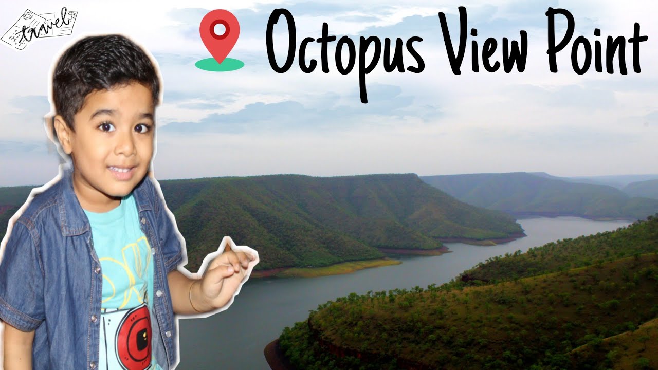 Octopus Viewpoint | Srisailam Trip Day -1 - YouTube