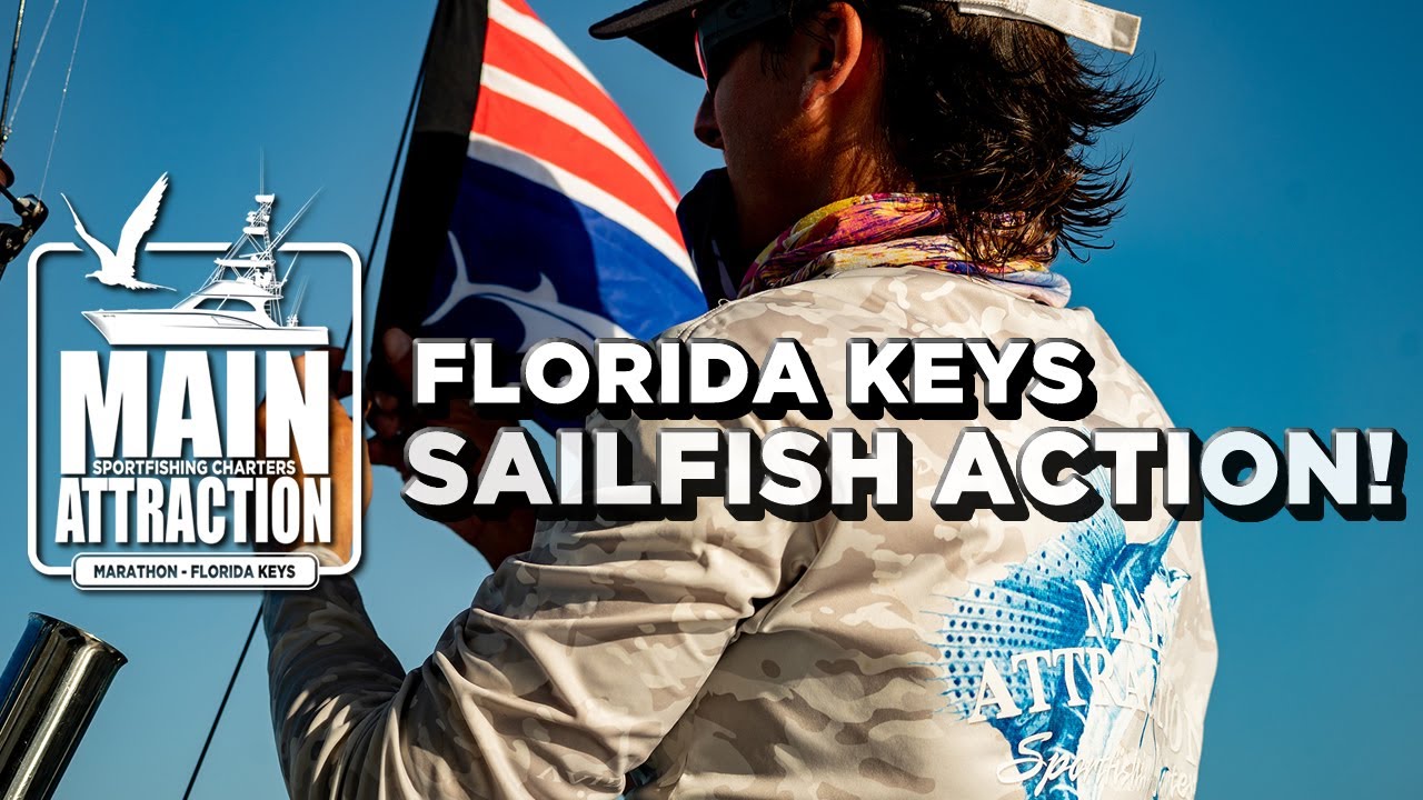 Marathon, Florida Keys Winter Sailfish Action with Captain Marty Lewis - YouTube