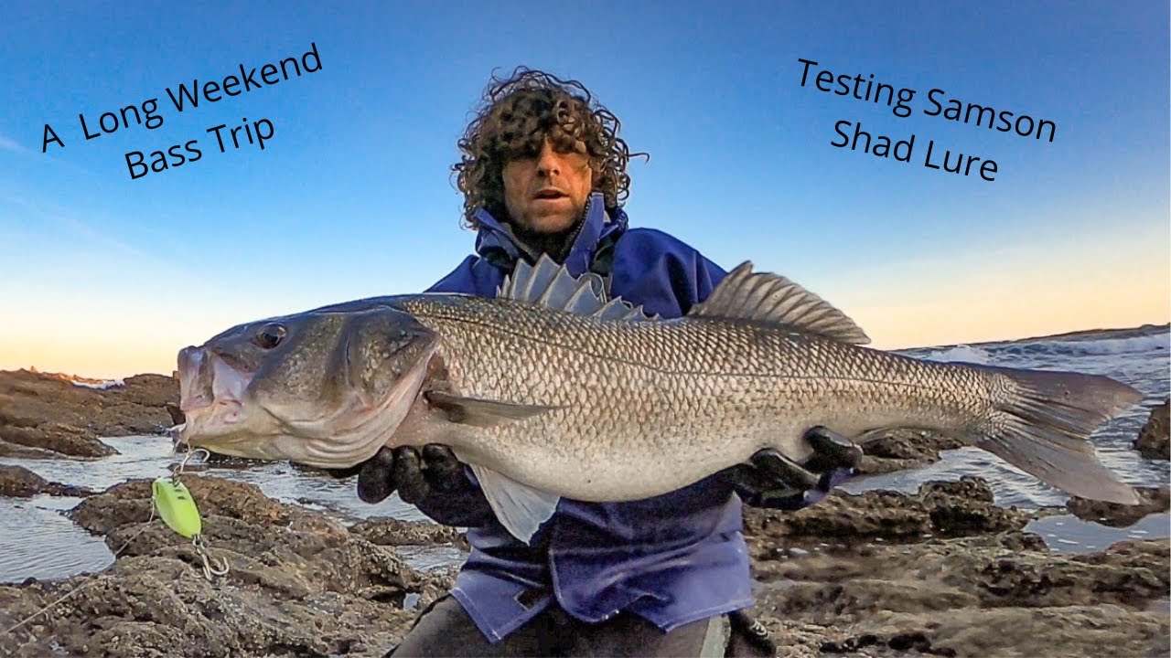 Weekend Lure Fishing For Big Sea Bass - Testing The Samson Shad On Bass ...
