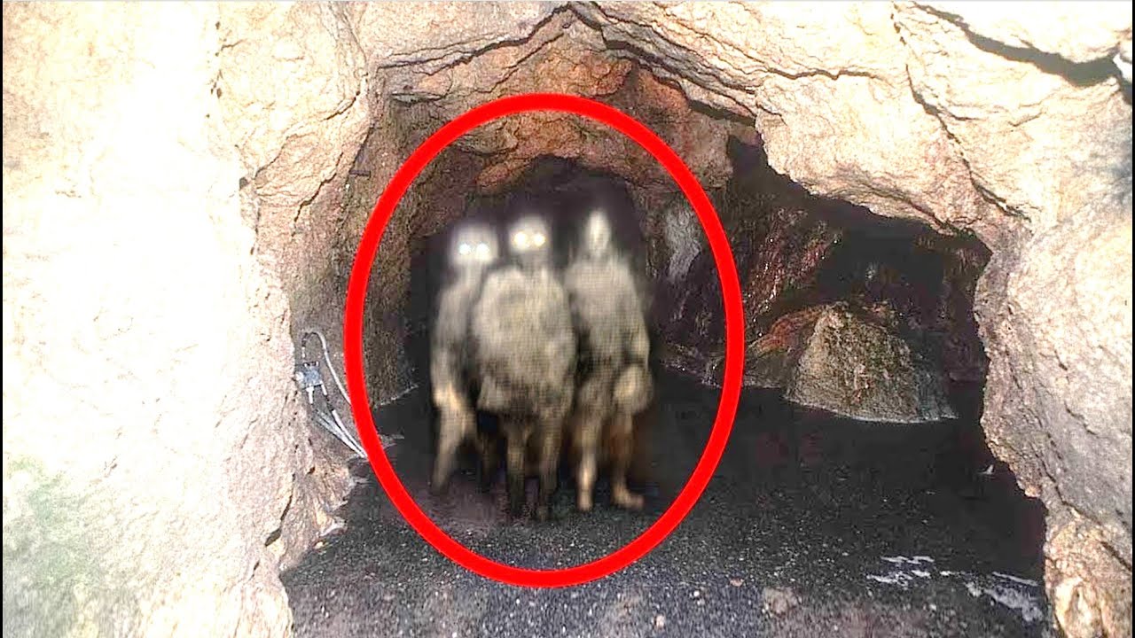 Scientists Have Just Revealed That Artificial Intelligence Has Found An ...