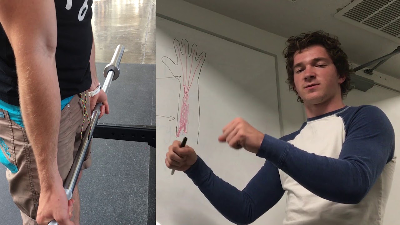 Anatomy of Grip Strength - YouTube