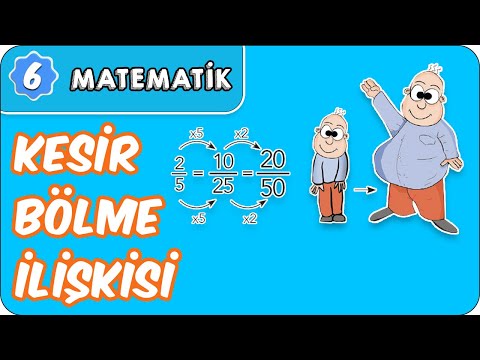 Kesir Problemleri / Kesir Bölme İlişkisi | 6. Sınıf Matematik #evokul Kampı