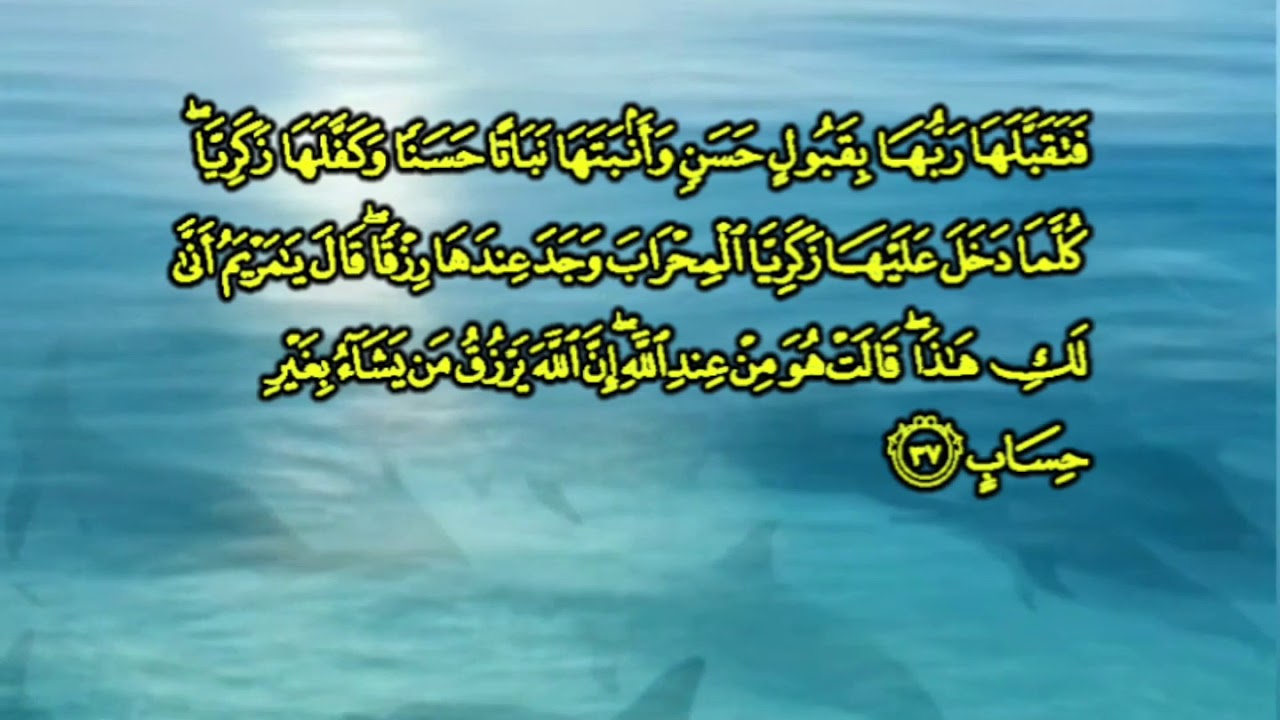 Surah Ali imran ayat 37,38 dan 39 Oleh: Sheikh Mishary Rasyid Al Afasy ...